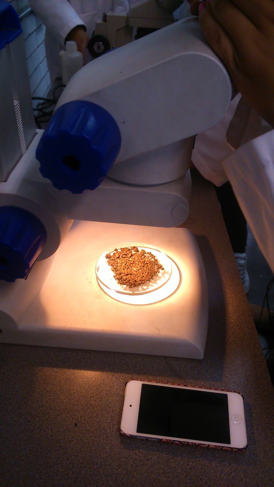 Quimica: Practica #3 observación de muestra de suelo